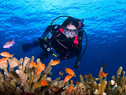 Fiji Islands Diving - South Pacific