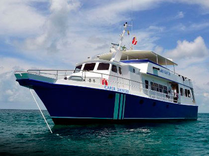 Bahamas Liveaboard Diving Cruises - Bimini, Tiger Beach, Exuma