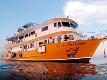 Best Guide to Diving in Hin Daeng and Hin Muang, Thailand