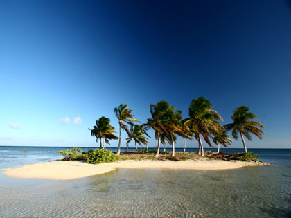 Turneffe Atoll Diving - Belize