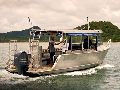 Beqa Island Lagoon Diving - Fiji