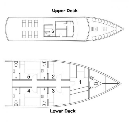 Oceanic: Indonesia Liveaboard Diving Charters | Dive The World