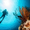 Sangalaki Diving, Kalimantan - Indonesia
