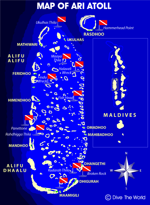 Ari Atoll Diving, Central Atolls - Maldives